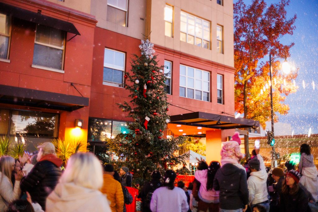 Events – Downtown San Rafael